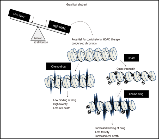 Advanced Centre for Treatment Research & Education in Cancer | Histone ...