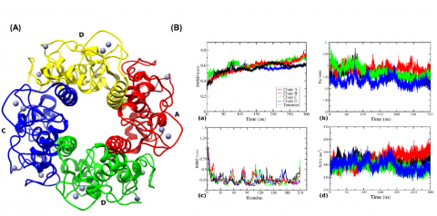 Advanced Centre for Treatment Research & Education in Cancer ...